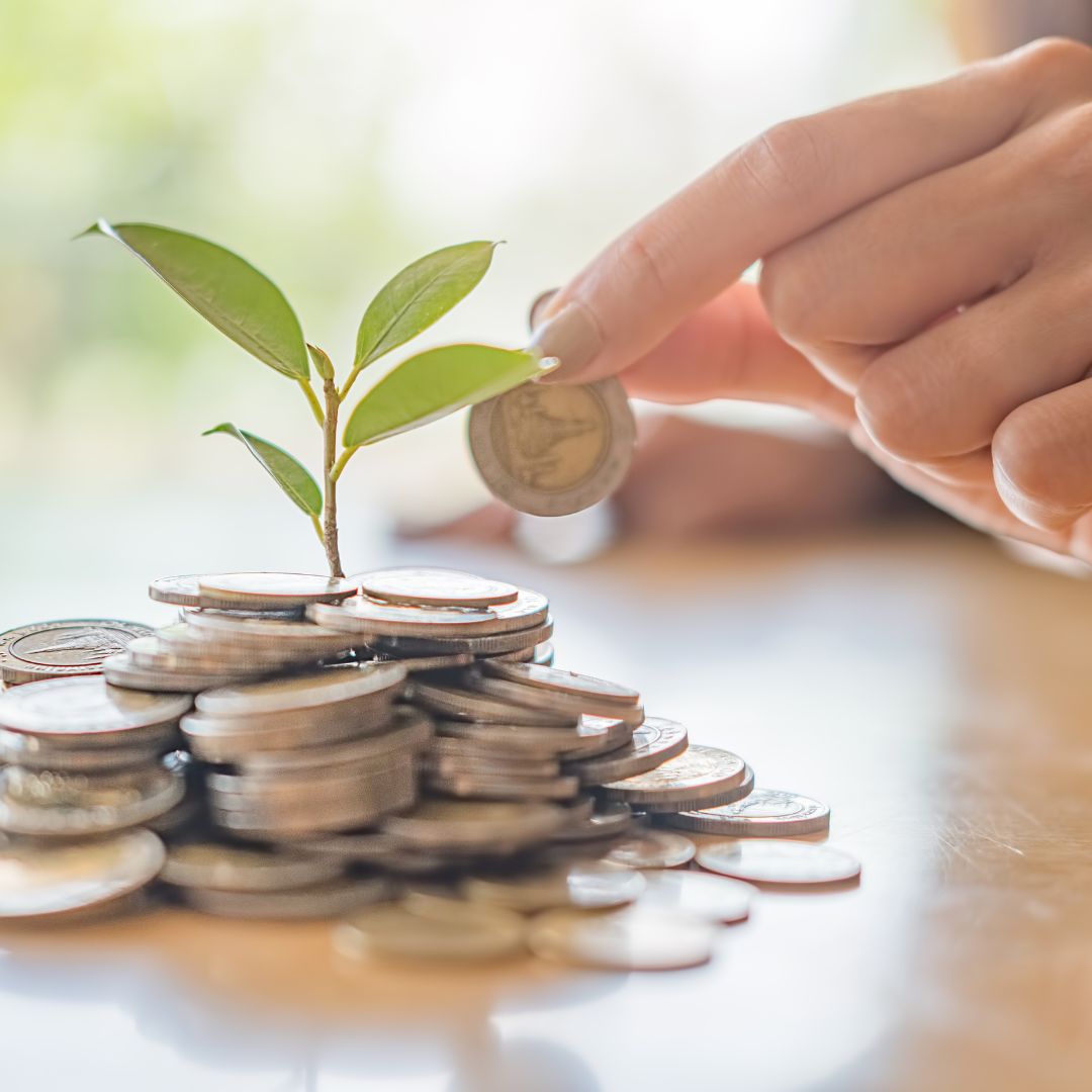 Difference Between Profit Maximization vs Wealth Maximization